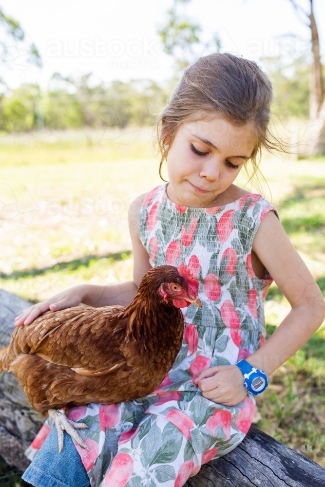 Image of Farm girl with hen sitting on lap - country kid patting the ...