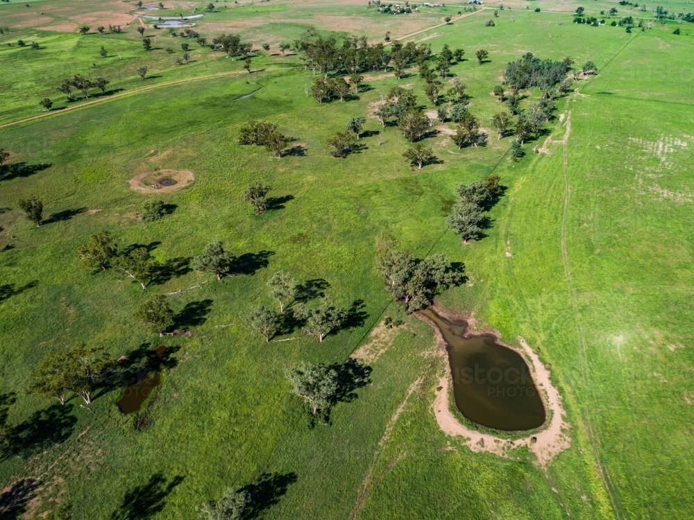 Image of Farm landscape with dam and sunlit paddocks from the air ...