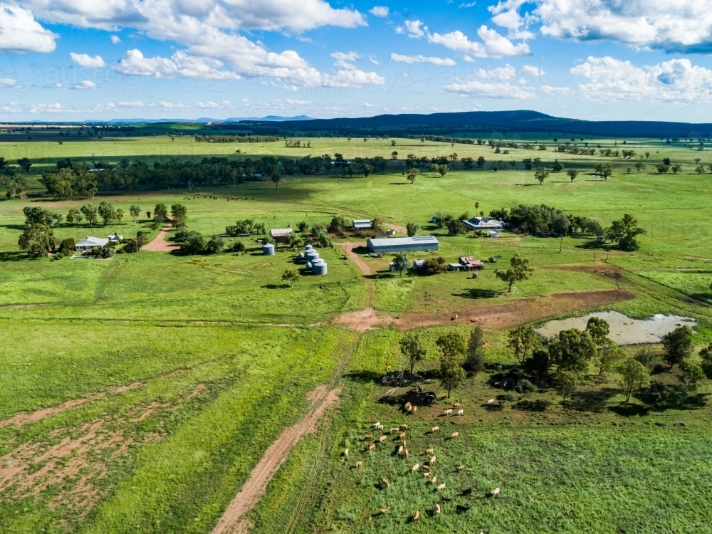 Image of Farm landscape with dam and sunlit paddocks from the air ...