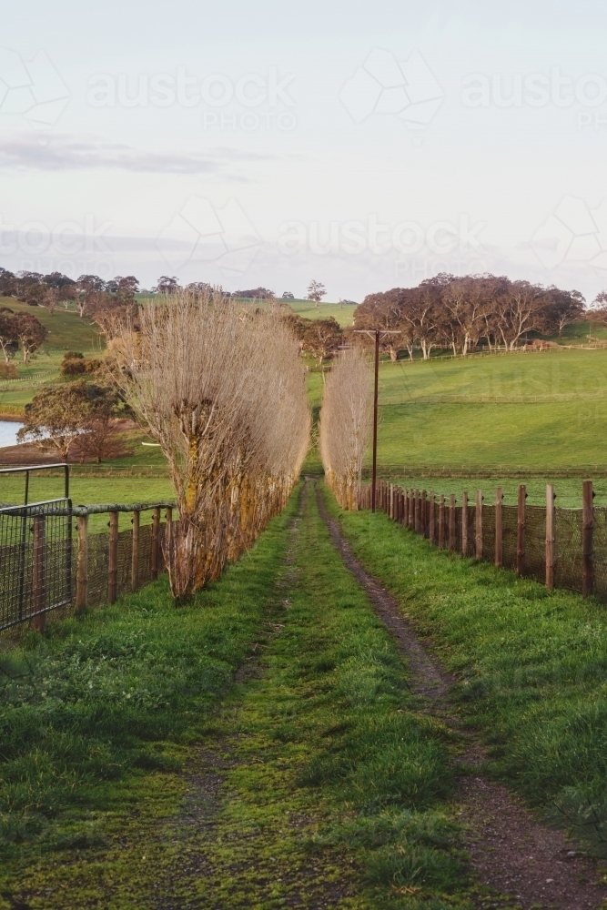 Image of farm laneway - Austockphoto