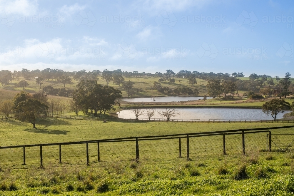 Image of farm scene with paddocks and two dams - Austockphoto