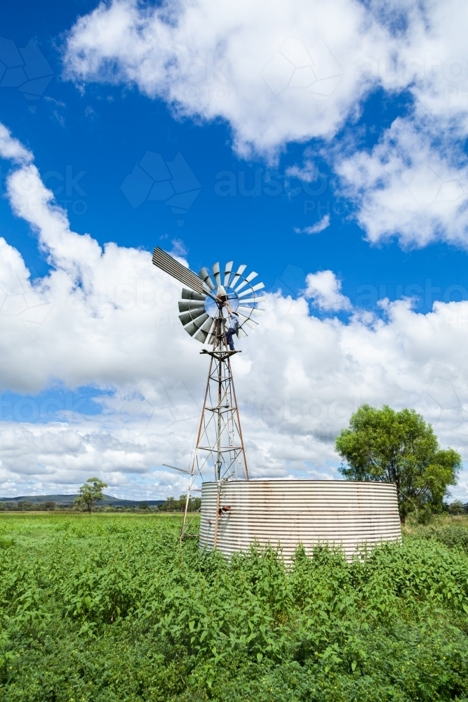 Image of Farmer climbing up farm windmill to check and repair pump ...