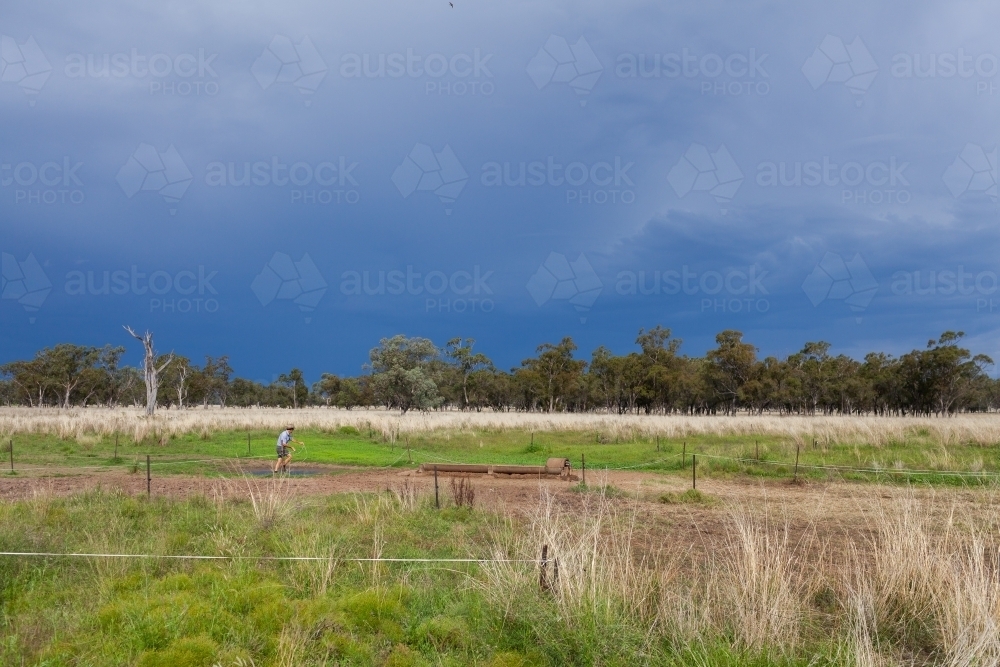 Image of Farmer moving fence on farm using rotational grazing land ...