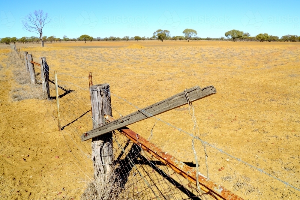 Image of Fence and grassless paddock in horrific QLD drought ...