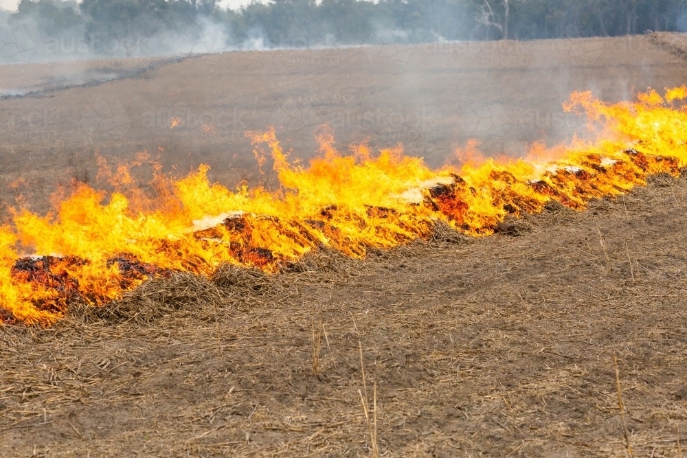 Image of Fire burning along a windrow of straw in a paddock - Austockphoto