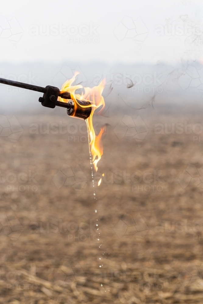 Image of Fire lighter with flames burning dripping fuel - Austockphoto