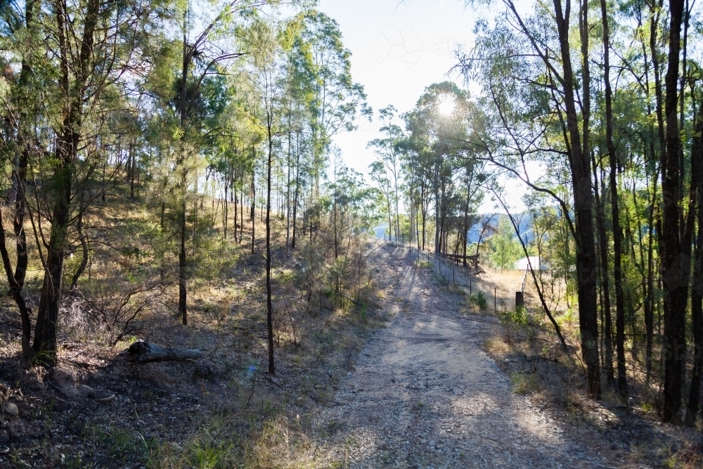 Image of Fire Trail between properties and National Park - Austockphoto
