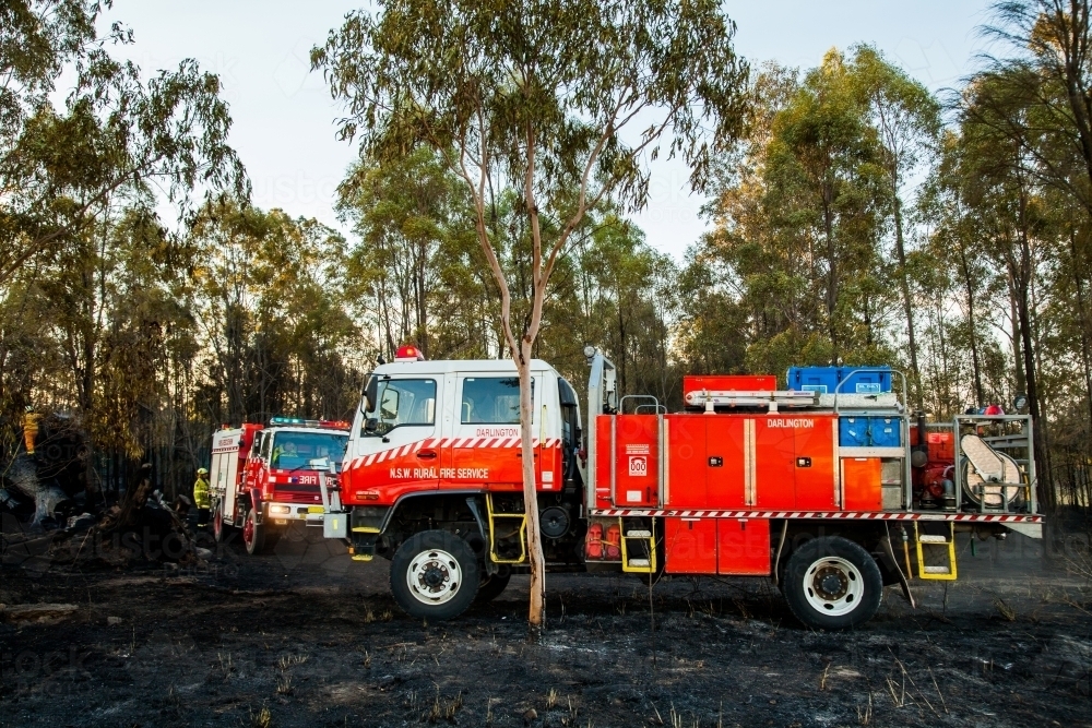 Image of Fire truck on burnt grass among gum trees - Austockphoto
