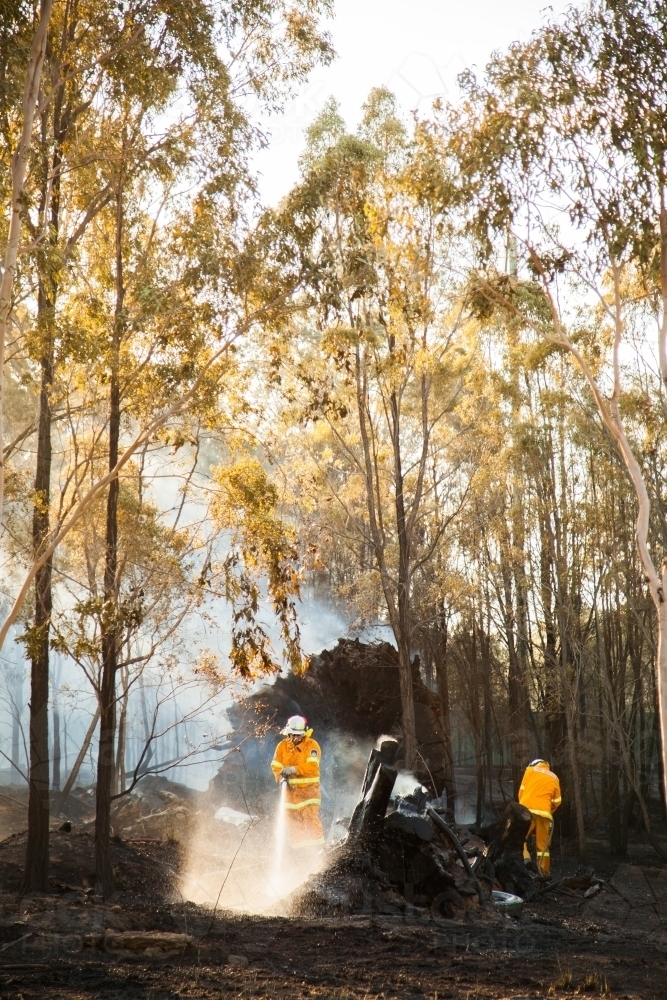 Image of Firefighters in bright reflective workwear fighting grass fire ...