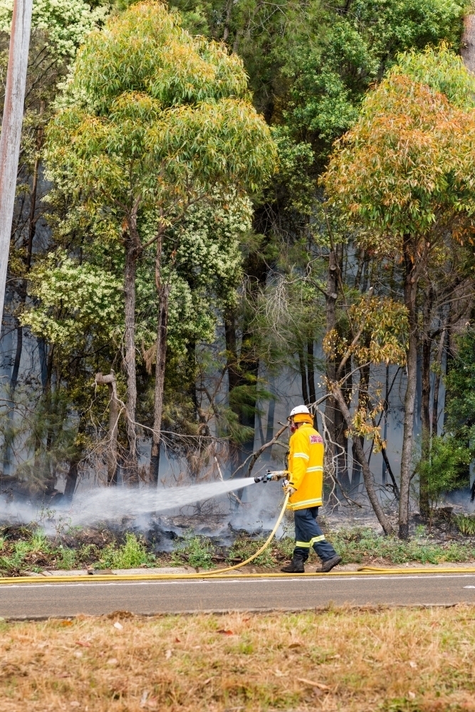 Image of fireman putting out bushfire with hose - Austockphoto