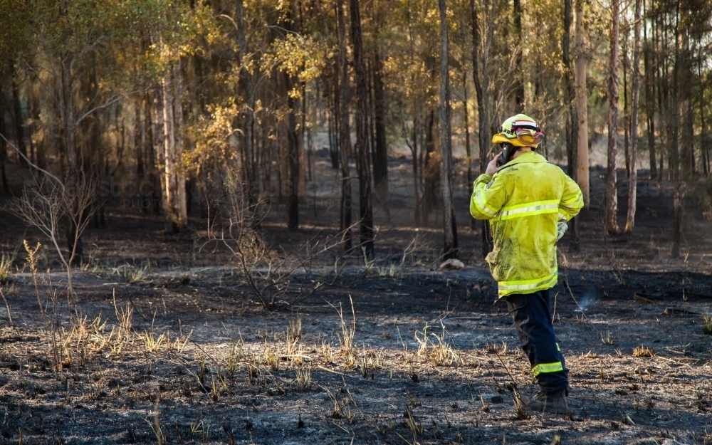 Image of Firemen at scene of a bushfire with burnt grass and trees ...