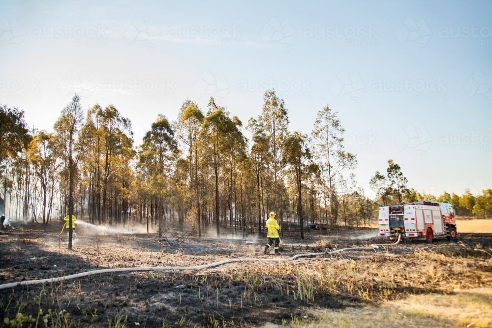 Image of Firetruck beside trees and grass burnt by grass bushfire ...
