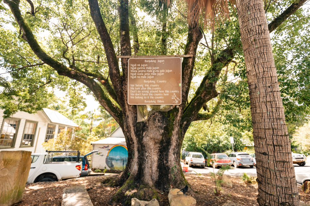 Image of First nations Bunjulung Country poem in tree in main street of ...