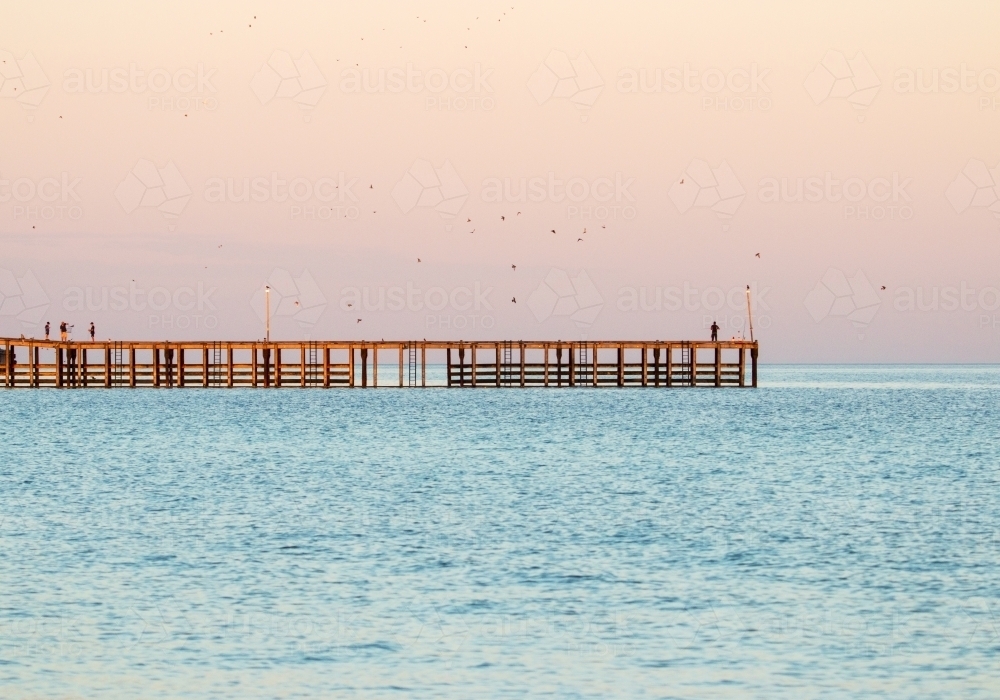 Image of Fisherman on jetty in Wallaroo at dawn with birds flying off ...