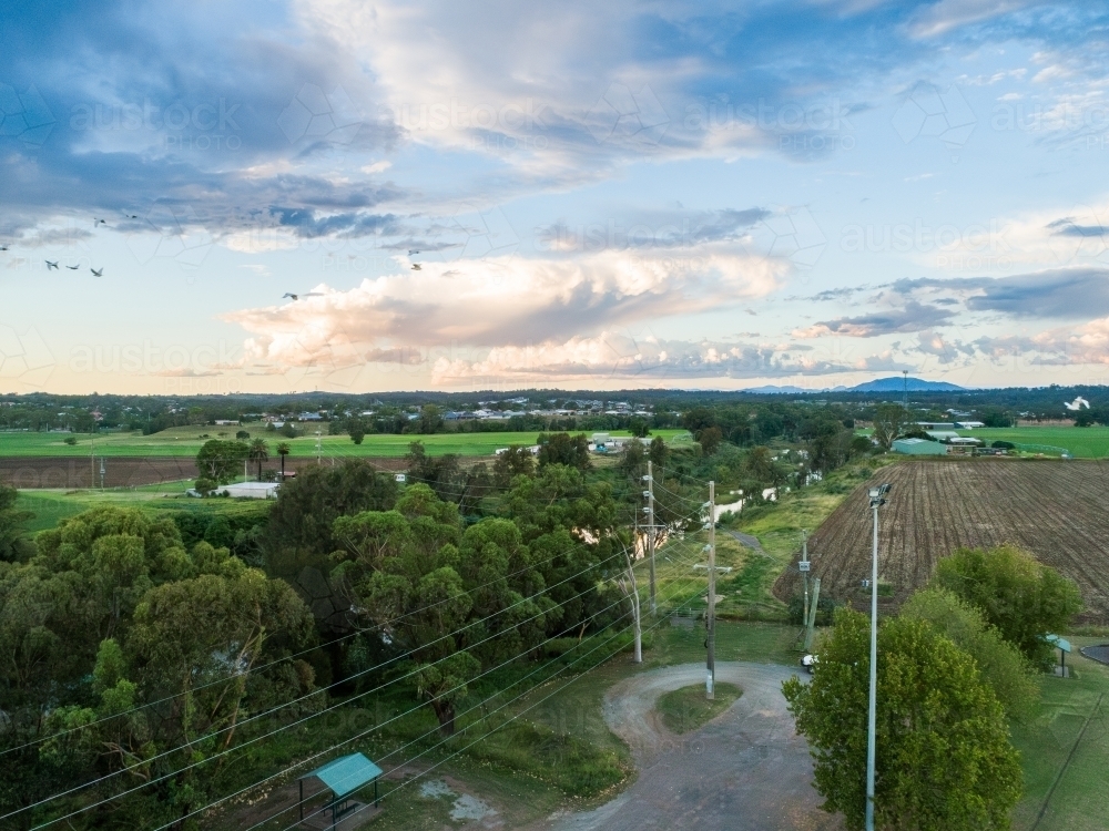 Image of Flock of birds flying over riverside park and farmland in ...