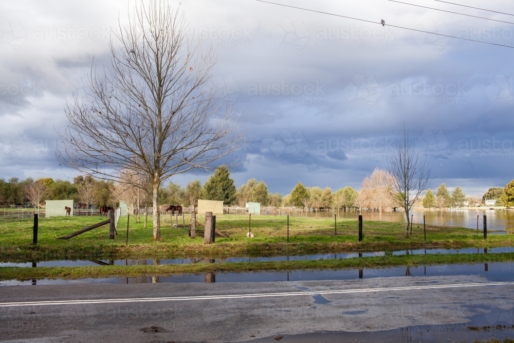 Image of Flood water in paddock beside road at edge of town - Austockphoto