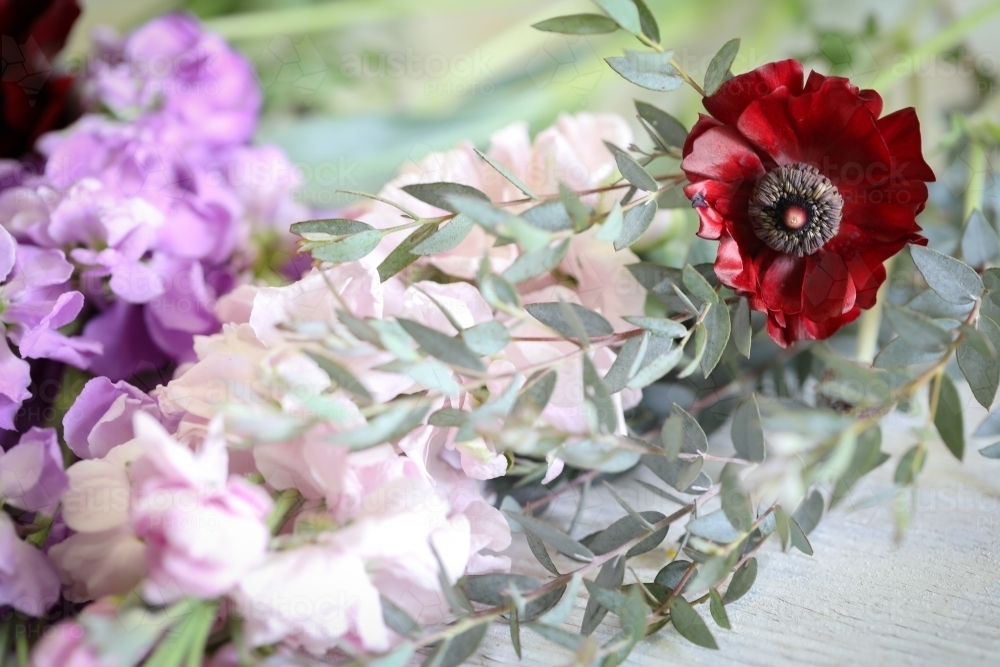 Image of Flower bunch close up featuring ranunculus and stocks ...