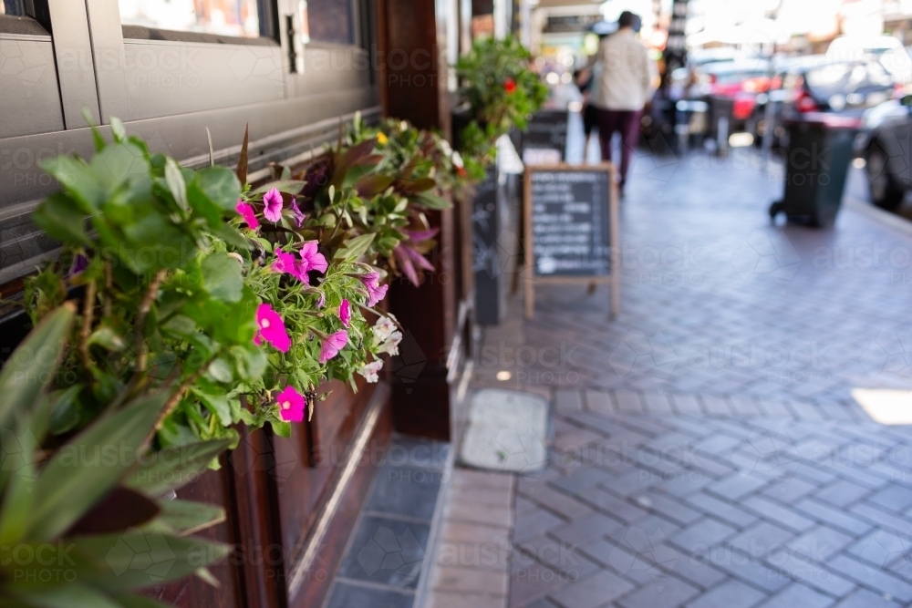 Image of Flowering pot plants growing on shop front beside sidewalk ...