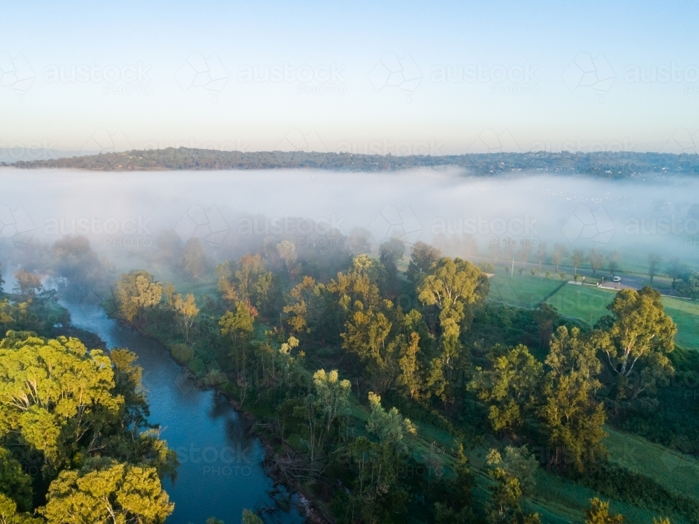 Image of Fog covering riverside park and farms at dawn in Singleton ...