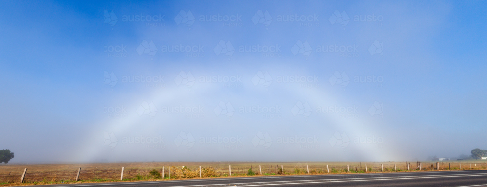 Image of Fogbow mistbow shining in light mist over rural paddock in ...