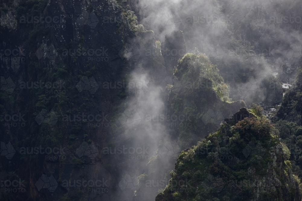 Image of Foggy cliff in wilderness - Austockphoto