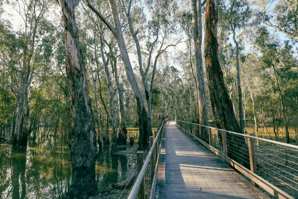 Image of Footbridge walking trail over the Gunbower Creek at Koondrook ...
