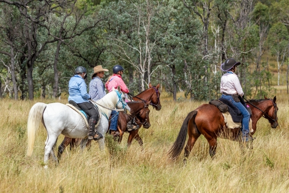 Image of Four country women on their horses on a farm. - Austockphoto
