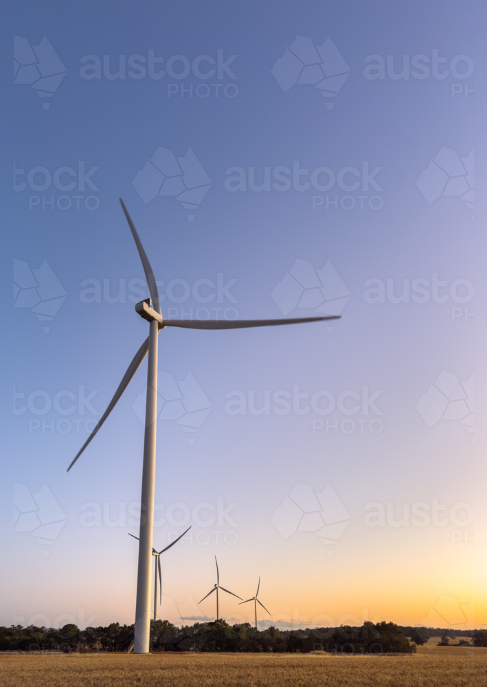 Image of four towering white wind turbines on farming land at dusk ...