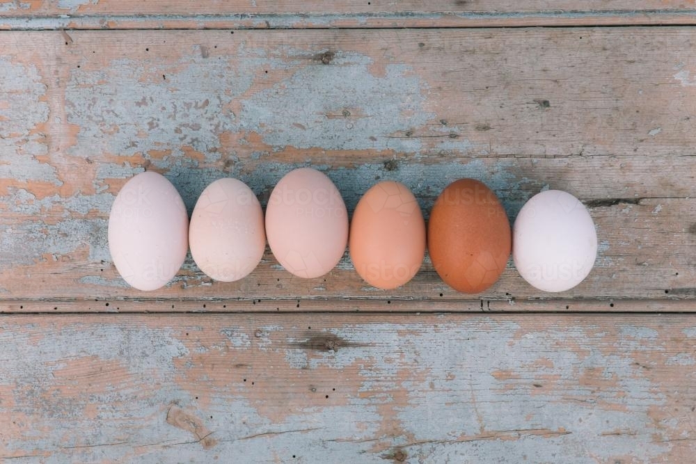 Image of Free-range chook eggs in different colours - Austockphoto
