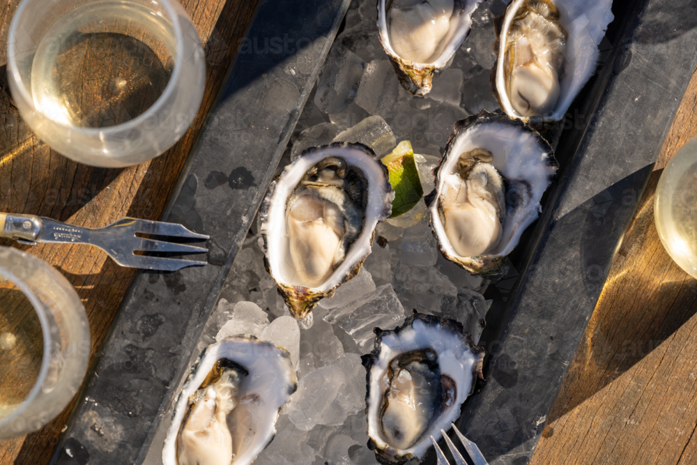 Image of fresh oysters and forks opened shucked on board - Austockphoto