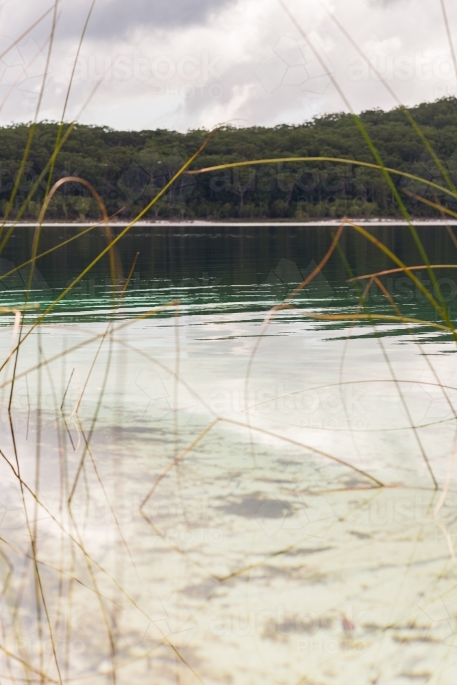 Image of freshwater lake, Lake Mackenzie, Fraser Island - Austockphoto
