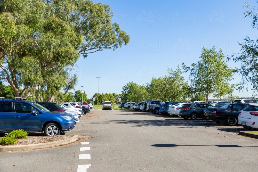 Image of Full car park with vehicles under gum trees in Singleton near ...