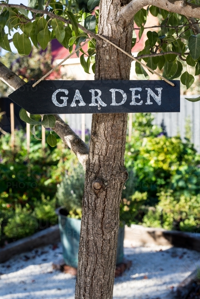 Image of Garden sign hanging on a tree - Austockphoto