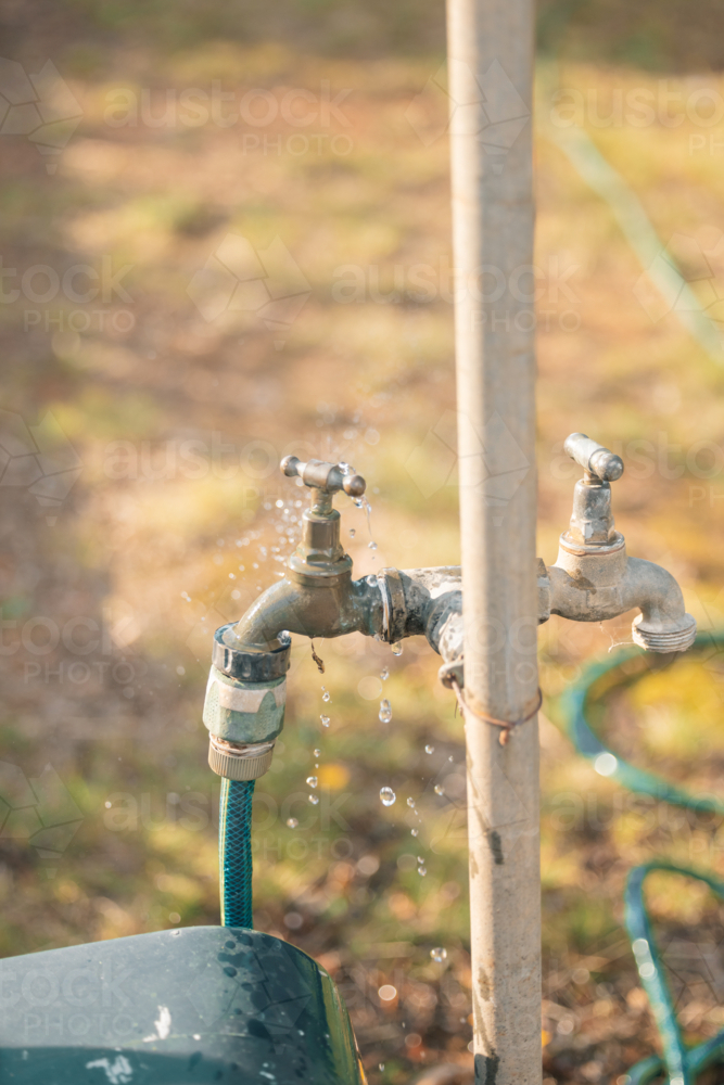 Image of Garden tap with water leak at home - Austockphoto