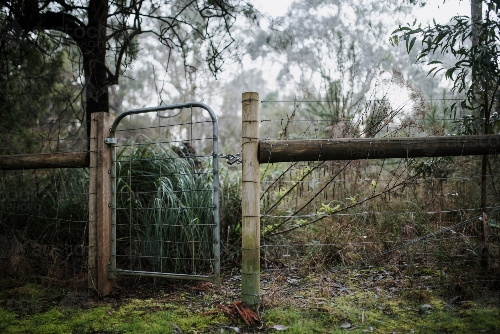 Image of Gate into foggy overgrown paddock - Austockphoto