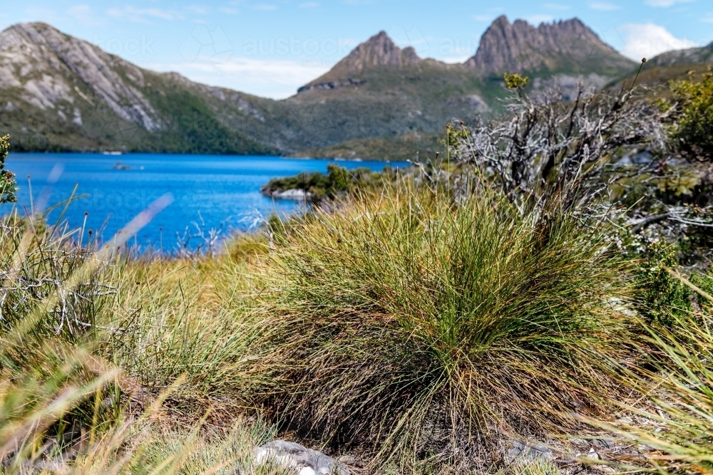 Image of generic mountain and lake with scrubby grass in the foreground ...