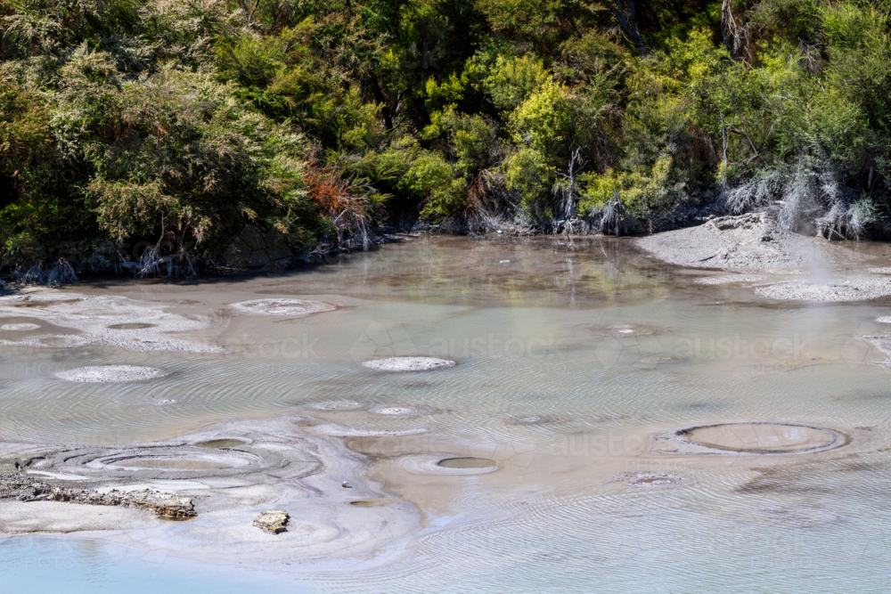 Image of Geothermal mud bubbling in water. - Austockphoto