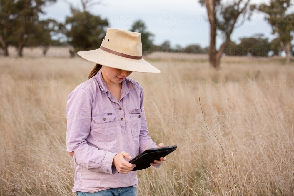 Image of Girl using ipad in the farm paddock - Austockphoto