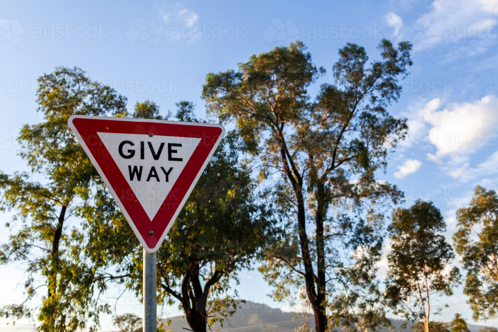Image of Give way road sign at intersection with gum trees in ...