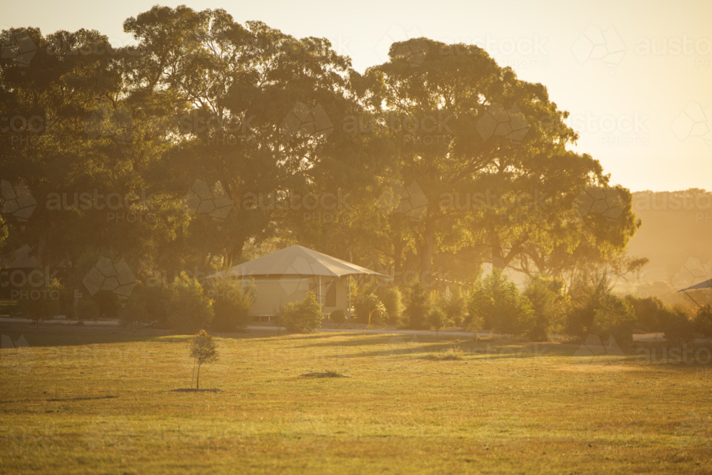 Image of Glamping tents in the Autralian bush on a golden afternoon ...