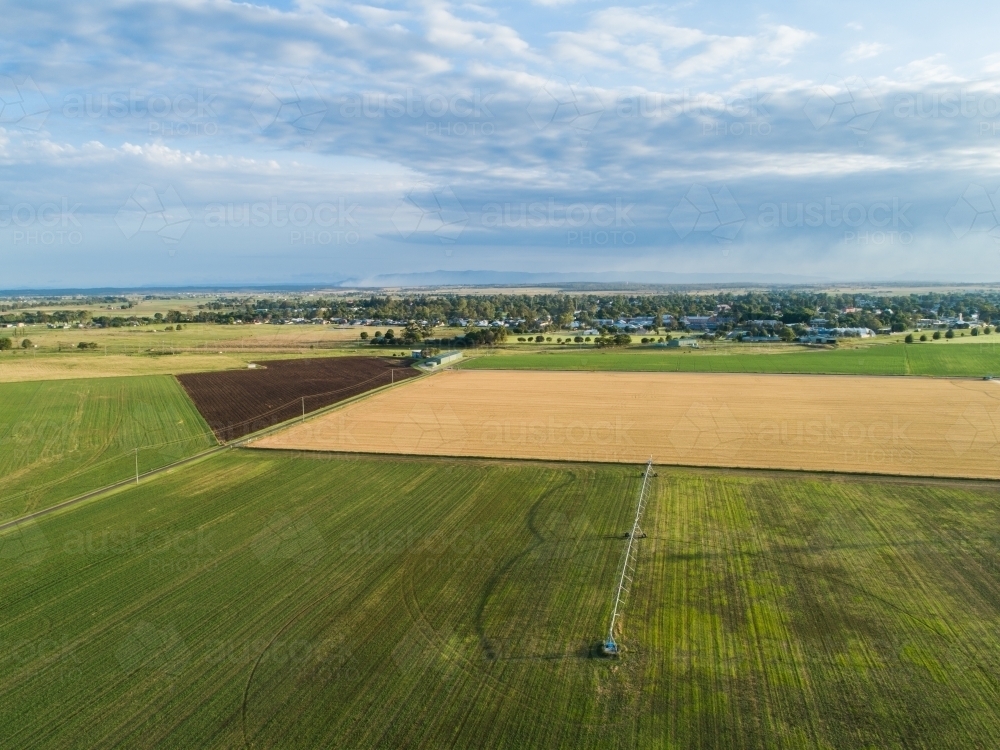 Image of Golden crop paddock and green farmland with water sprinkler ...