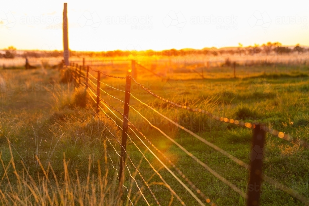 Image of Golden sunlight over wire fence on farm with electric wire ...