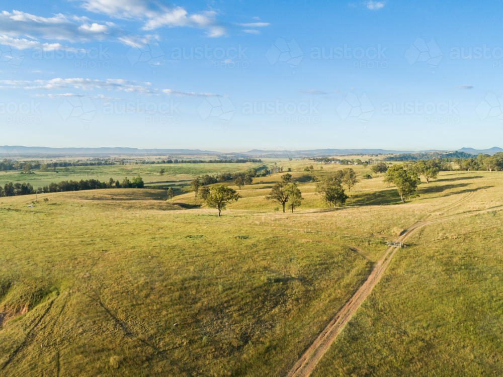 Image of Green farmland paddock landscape on outskirts of Singleton in ...