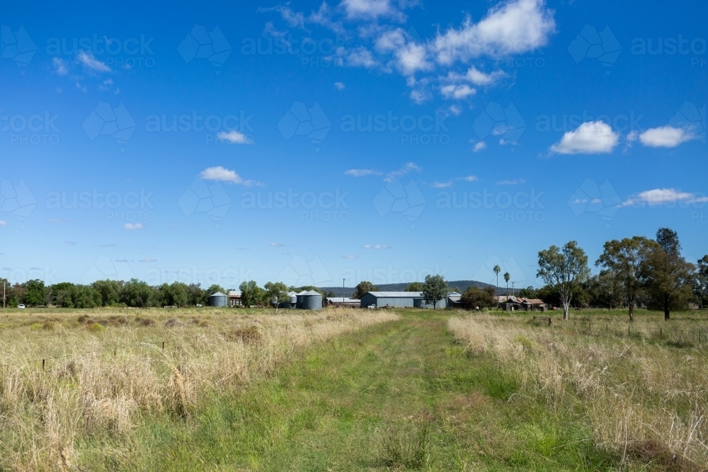 Image of Green grass covered track through pastoral farmland to farm ...