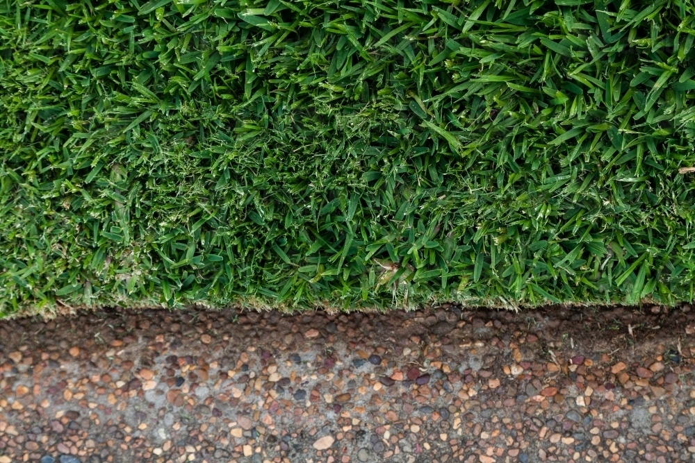 Image of Green grass of neat trimmed lawn edge next to street ...