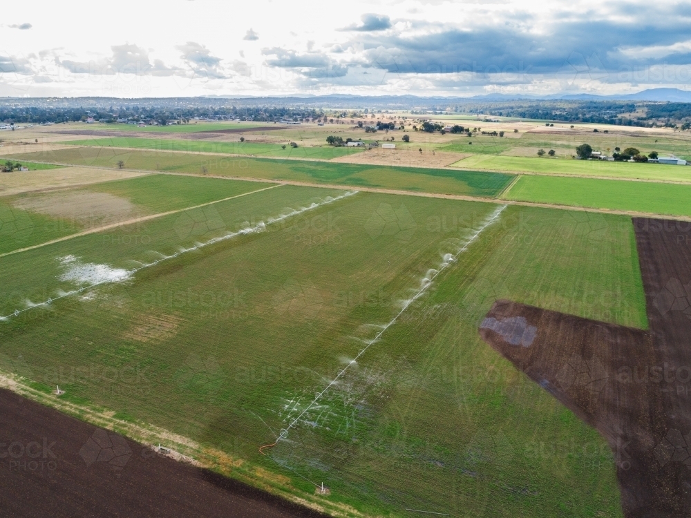 Image of Green irrigated paddocks and farmland seen from aerial view ...