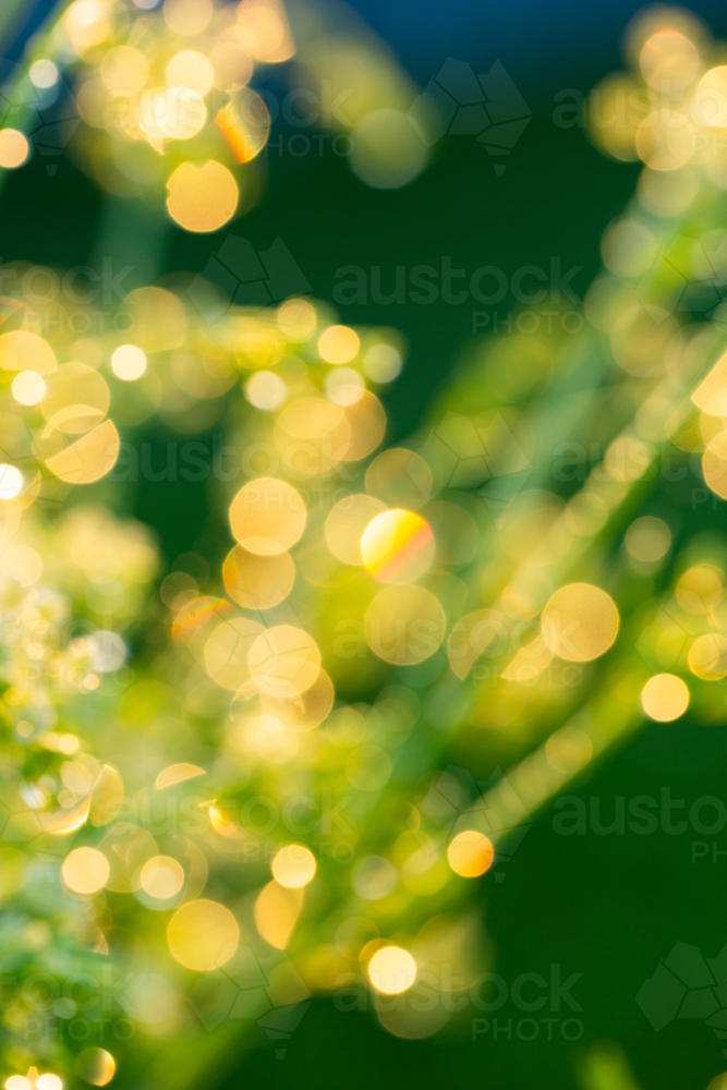 Image of Green sparkling bokeh with no focus - Austockphoto