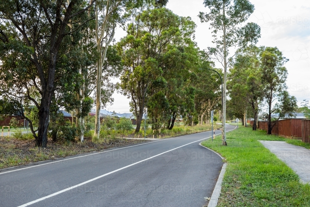 Image of Green strip and divided road between housing neighbourhoods ...