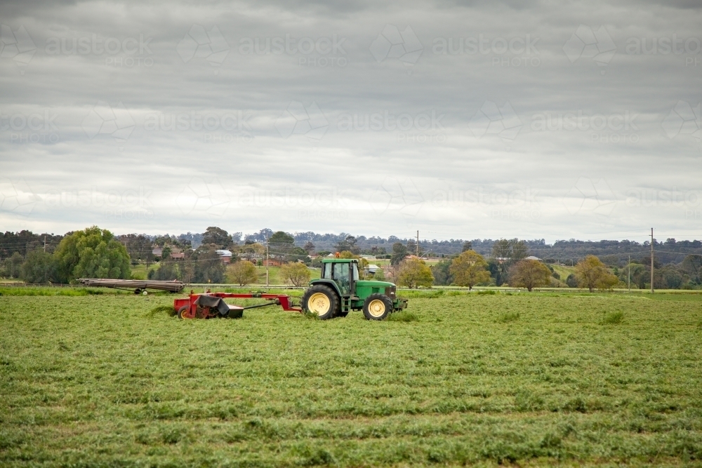 Image of Green tractor pulling red slasher in lucerne paddock ...