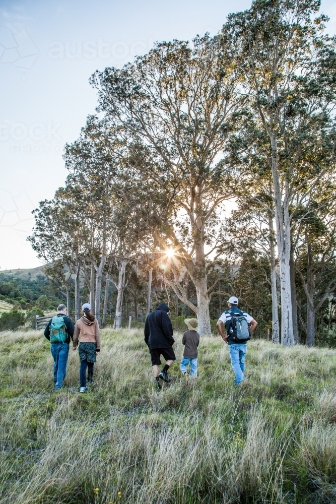 Image of Group of bushwalkers hiking through a paddock at sunrise ...